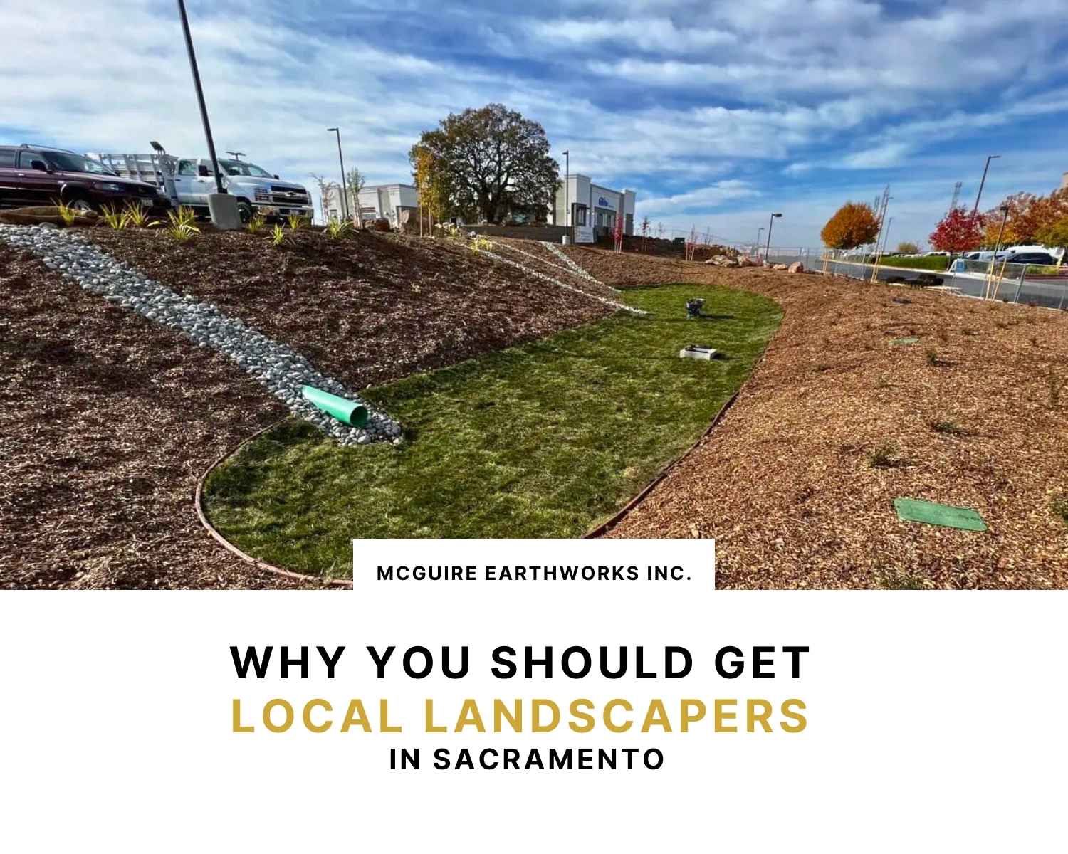 Why You Should Get Local Landscapers in Sacramento